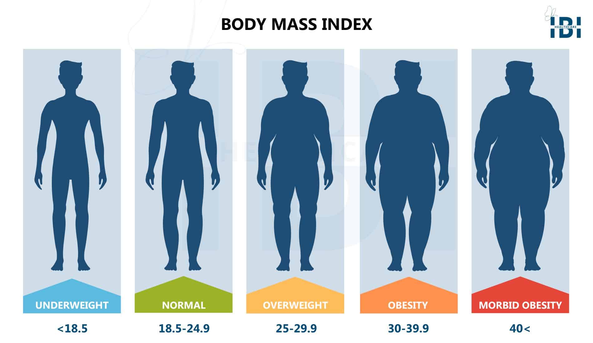 Bmi Chart Overweight Obese