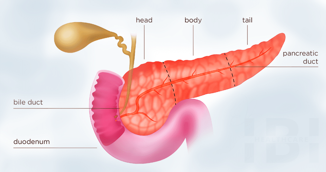Semaglutide and Mounjaro